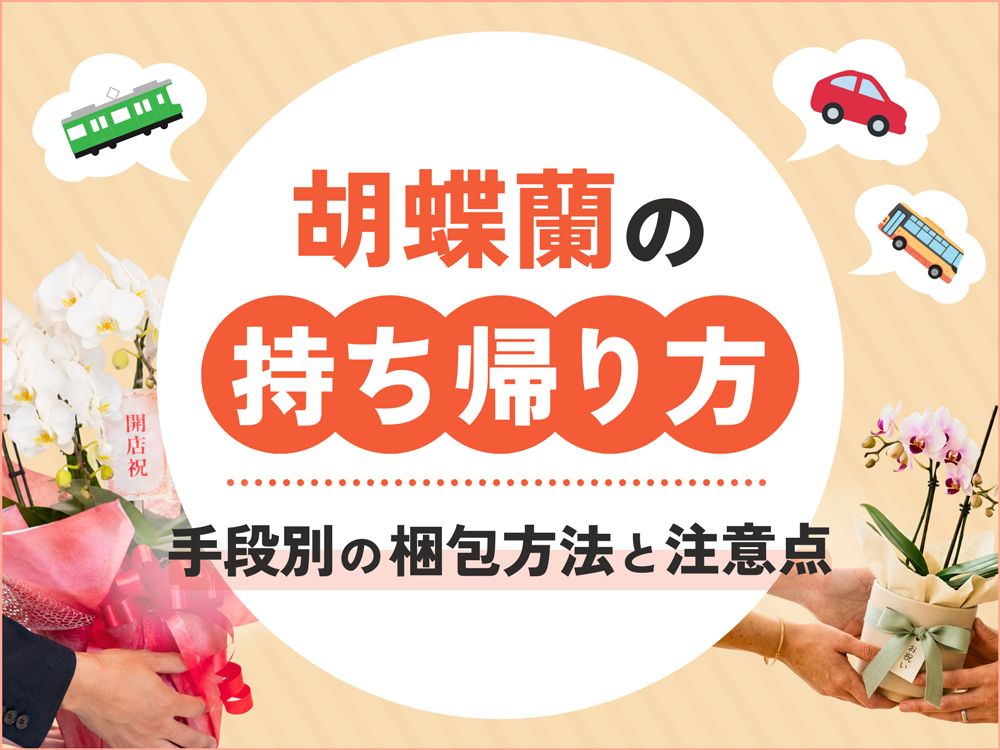 もらった胡蝶蘭の持ち帰り方は？手段別の梱包方法と気をつけるべきポイント｜Flower Smith Gift（フラワースミスギフト）